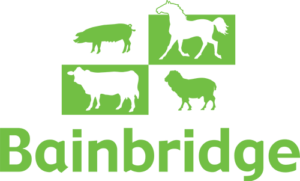 Become a Bainbridge Wholesale Partner - Bainbridge NZ